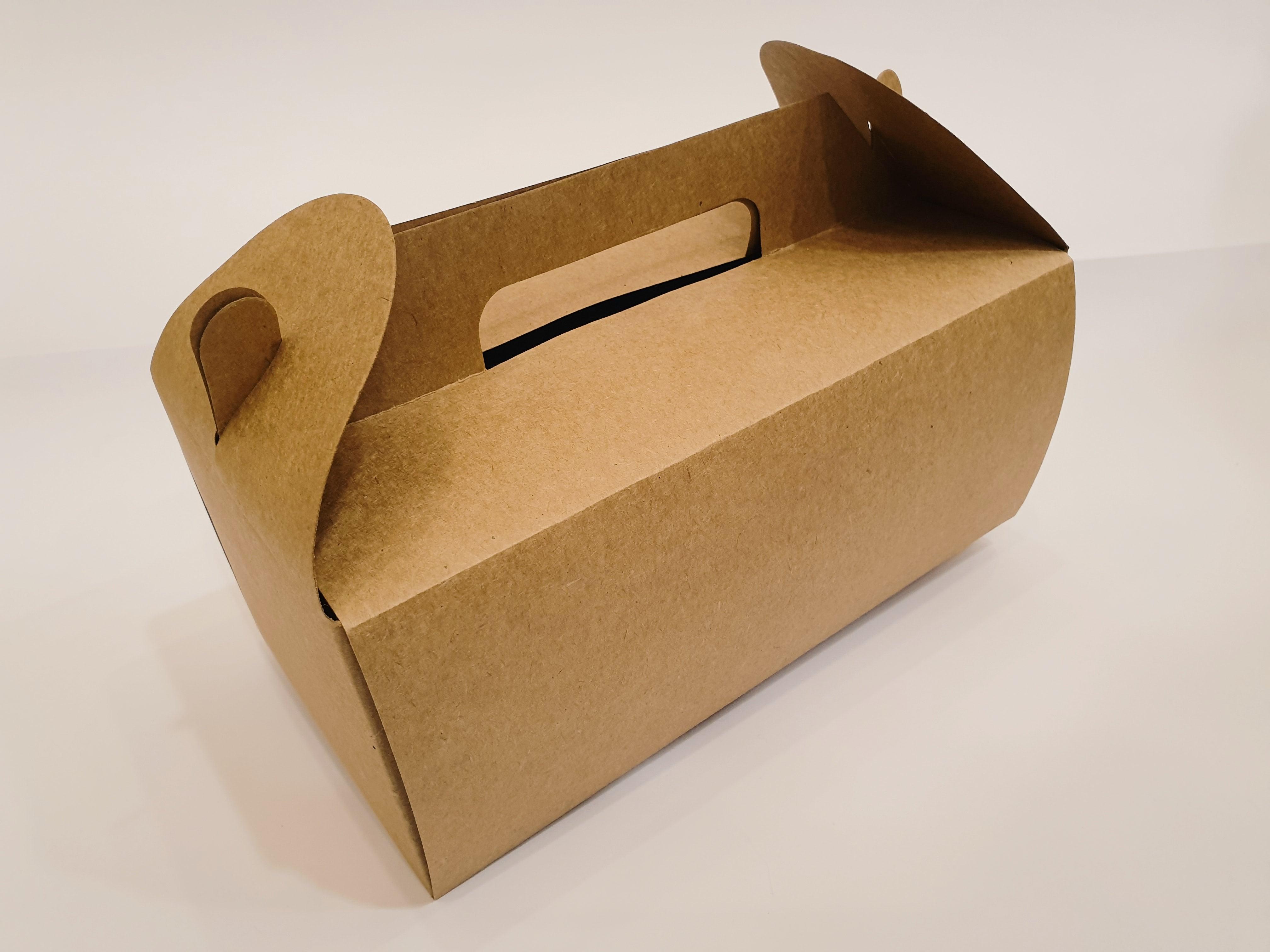 Kraft multipurpose box with handle – EcoPakOnline
